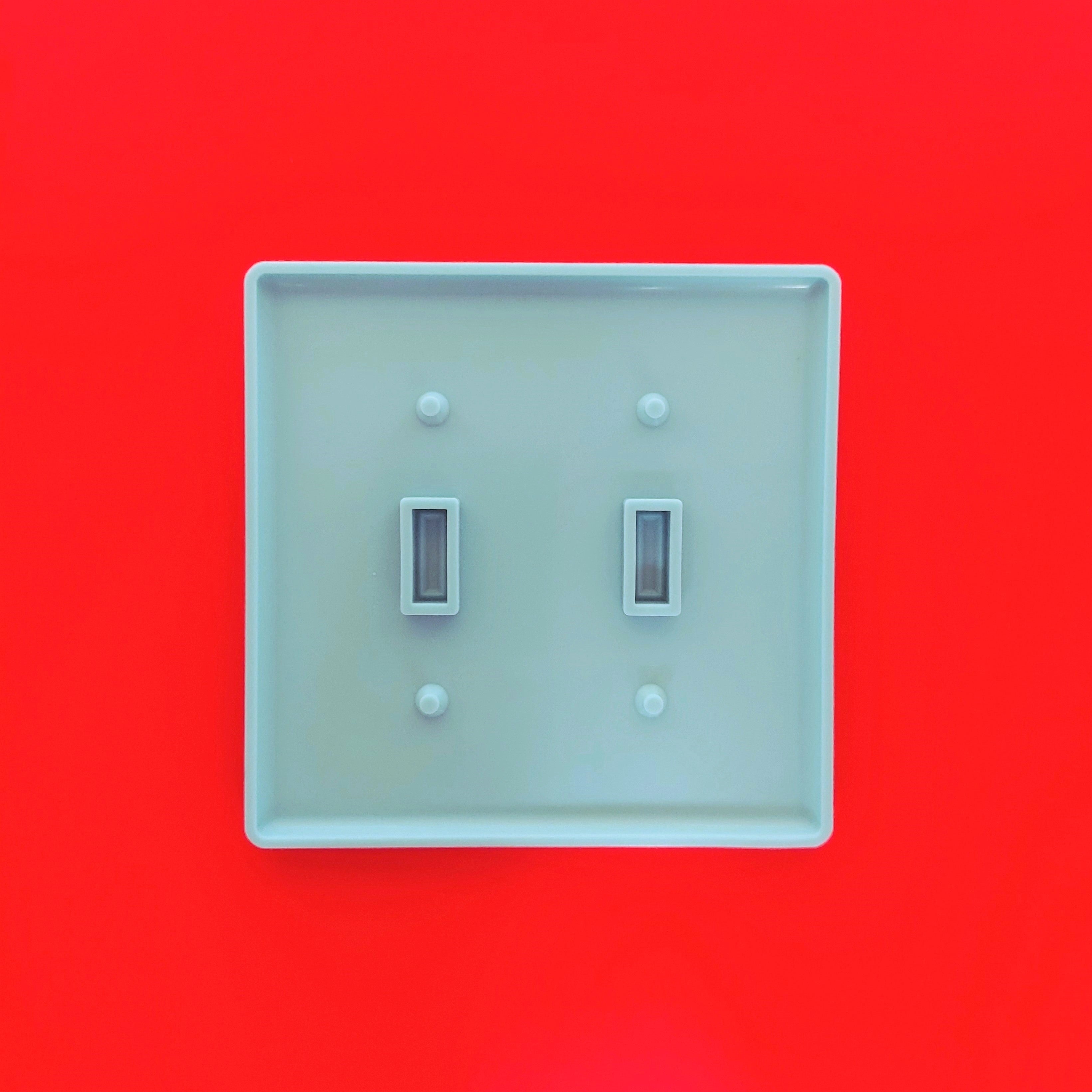 Double Small Switch Plate Mold for Resin | Alonso Sobrino